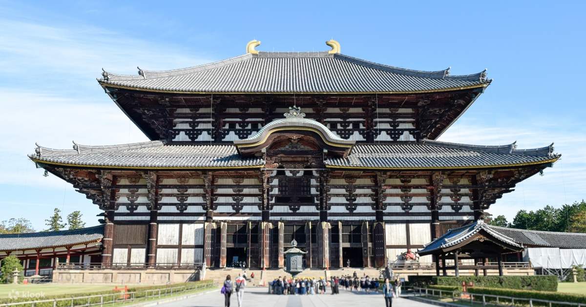 Todaiji, Nara Park, and Kasuga Taisha Shrine Half Day Bus Tour from ...