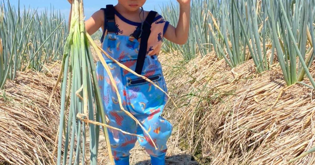 Yilan｜Chu Mi Experience Farm｜DIY Creative Scallion Bread Experience ...