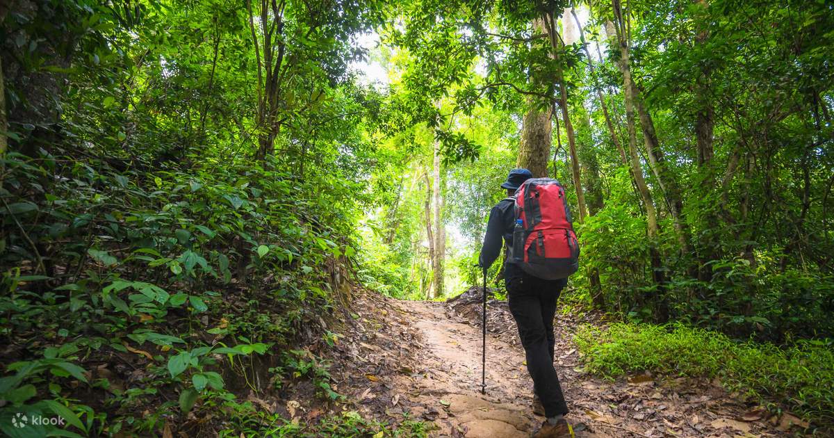 Bangkok to Khao Yai Nature Tour with Scenic Trails and Wildlife - Klook ...