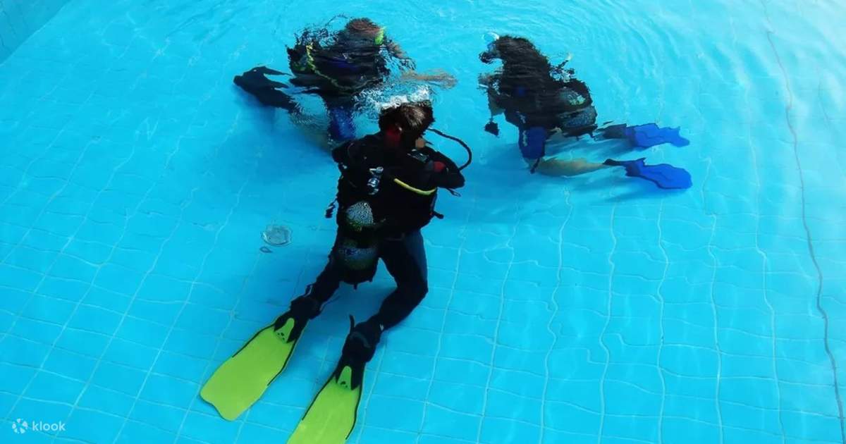Jelajahi Kedalaman: Penyelam Perairan Terbuka PADI dengan Pusat ...