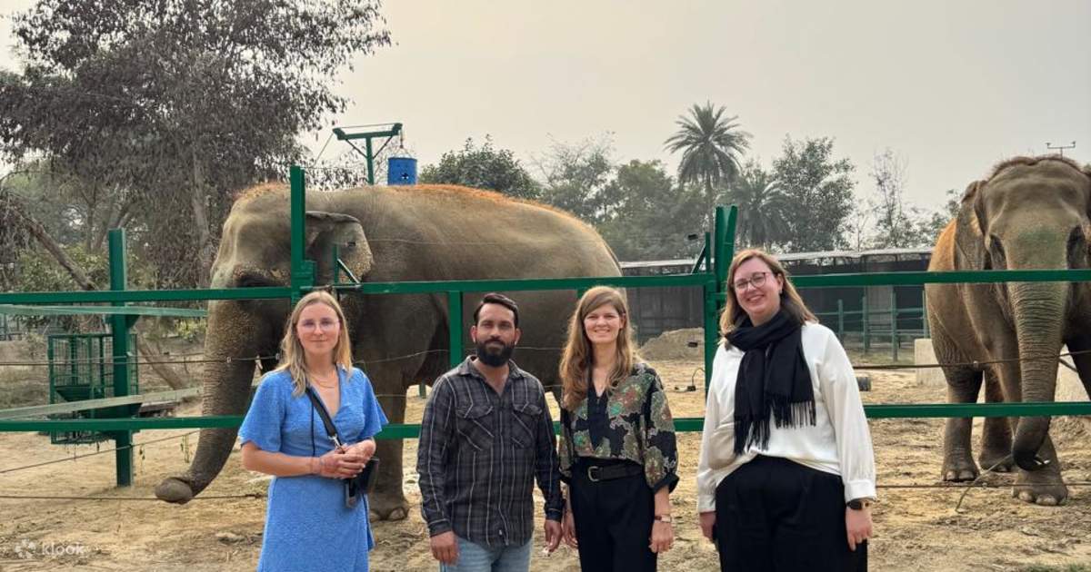 Lawati Pusat Menyelamat Pemuliharaan Gajah SOS Hidupan Liar Mathura ...