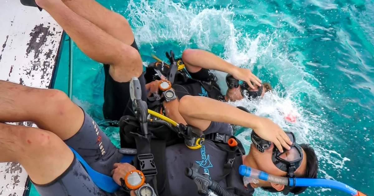 서 - 클룩 Klook 한국