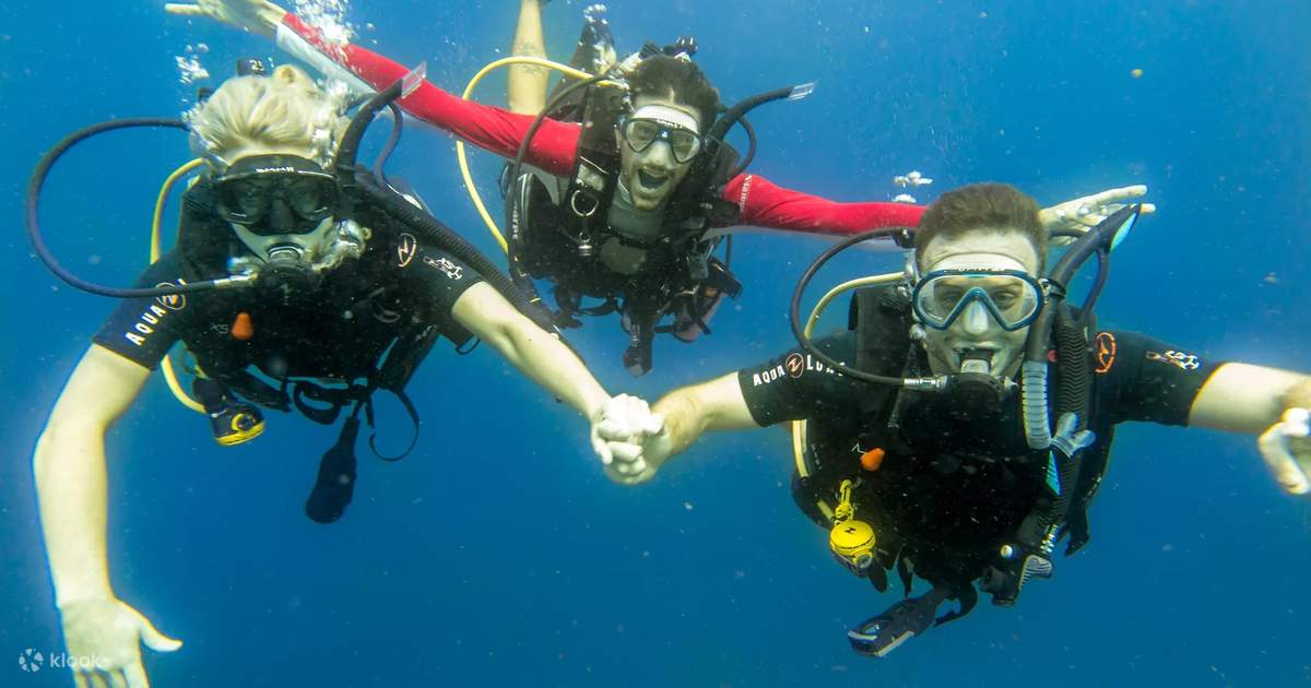 Open Water Diver in Lombok with PADI 5 Star Dive Resort - Learn to Dive ...