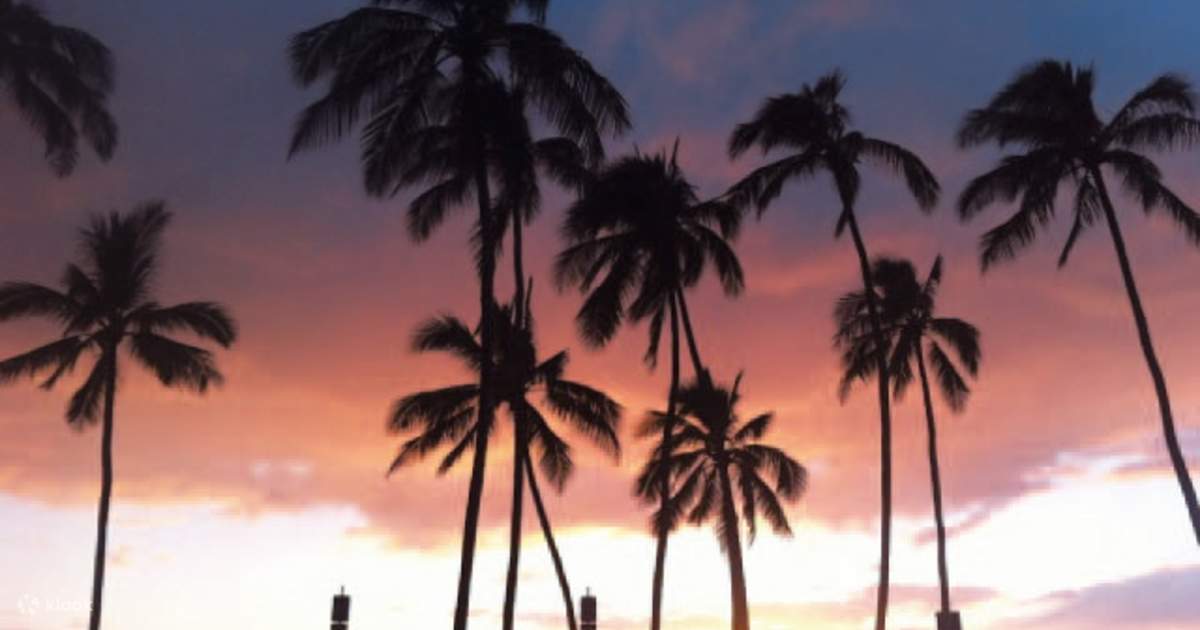 Waikele Outlet and North Shore Sightseeing Tour - Klook