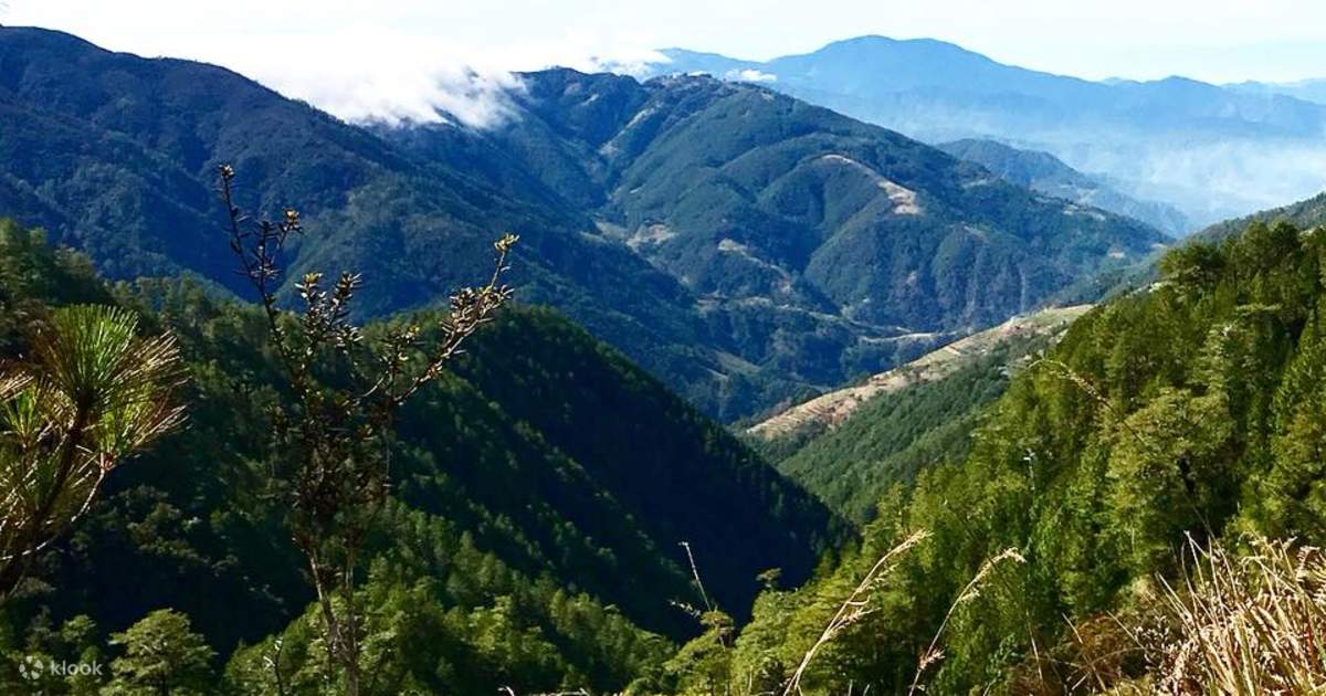 Mt. Pulag Hiking Tour from Baguio - Klook