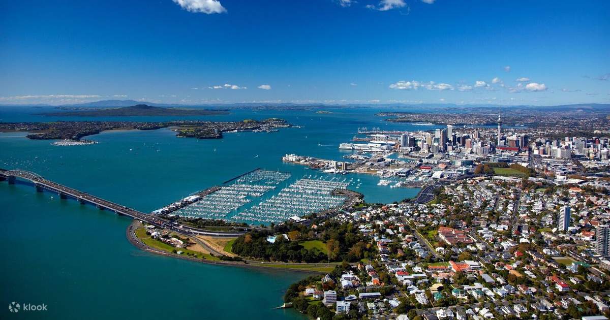 City Morning Tour in Auckland, New Zealand - 클룩 KLOOK 한국