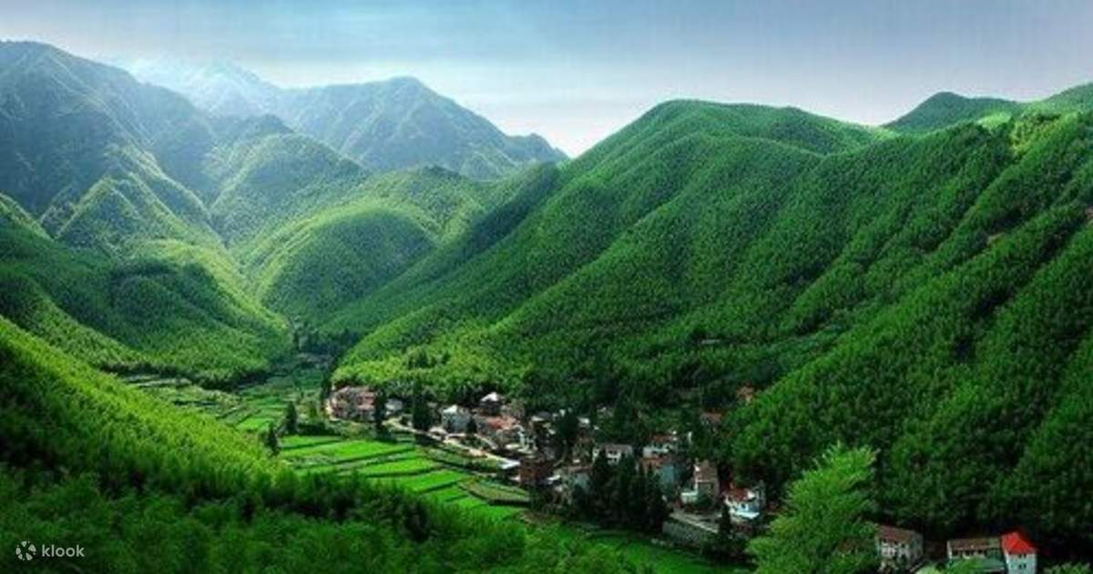 China Bamboo Sea Tickets - Klook