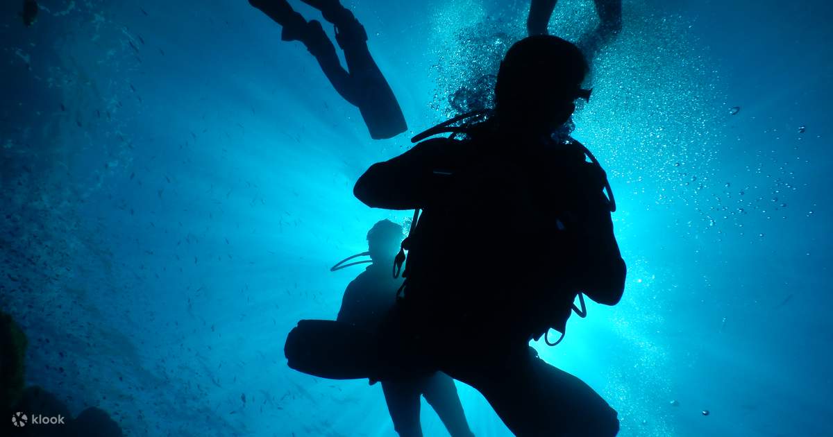 PADI AOW Diver in Koh Samui with PADI 5 Star Dive Center - Explore the ...