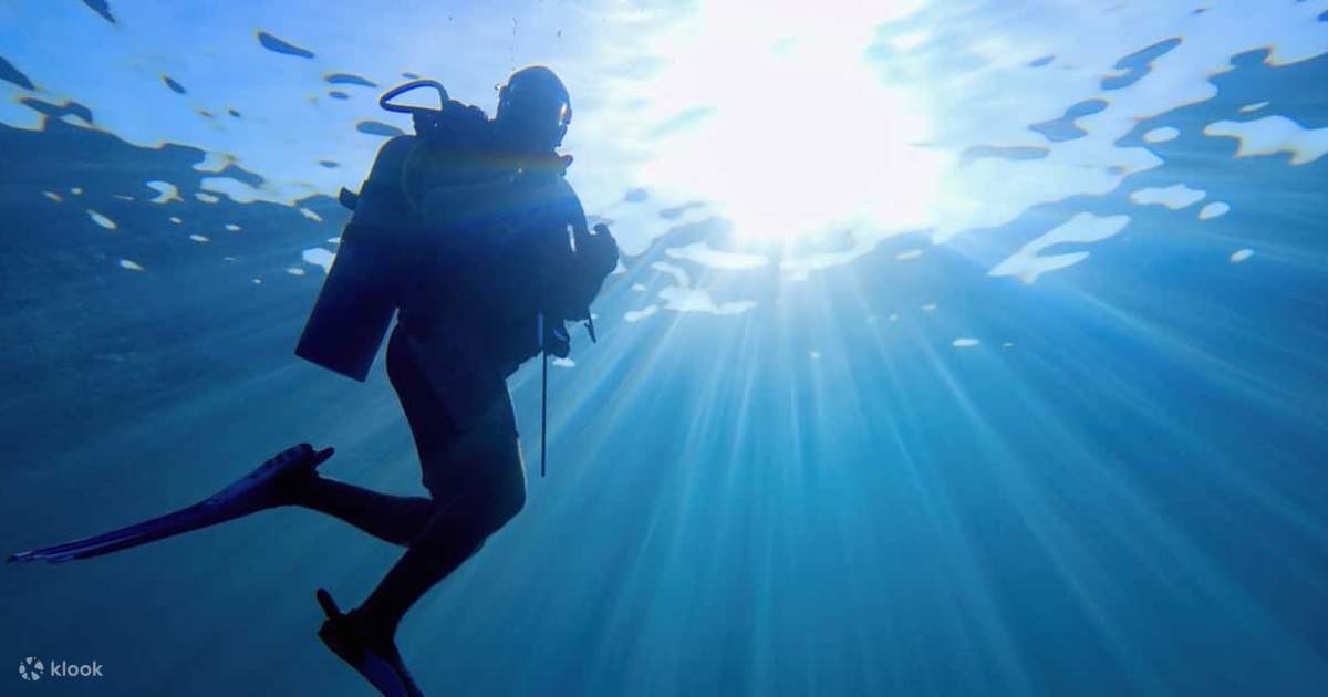 参加潜水和浮潜游船之旅，探索马卡迪湾的水下奇观 Klook客路