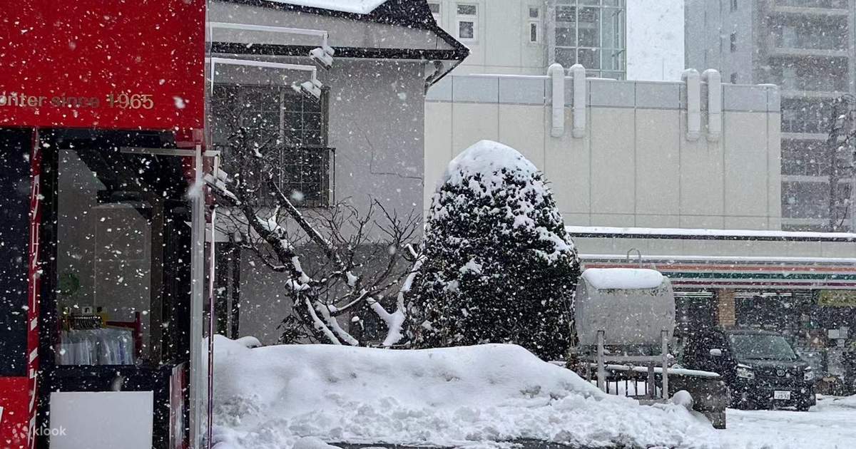 Hokkaido Asahikawa Zoo Four Seasons Color Hill Biei Fairy Terrace Day ...