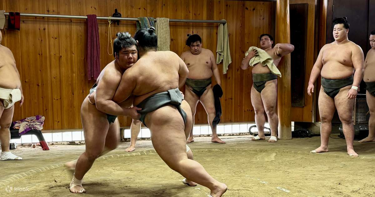 Sumo Practice in Tokyo - Klook