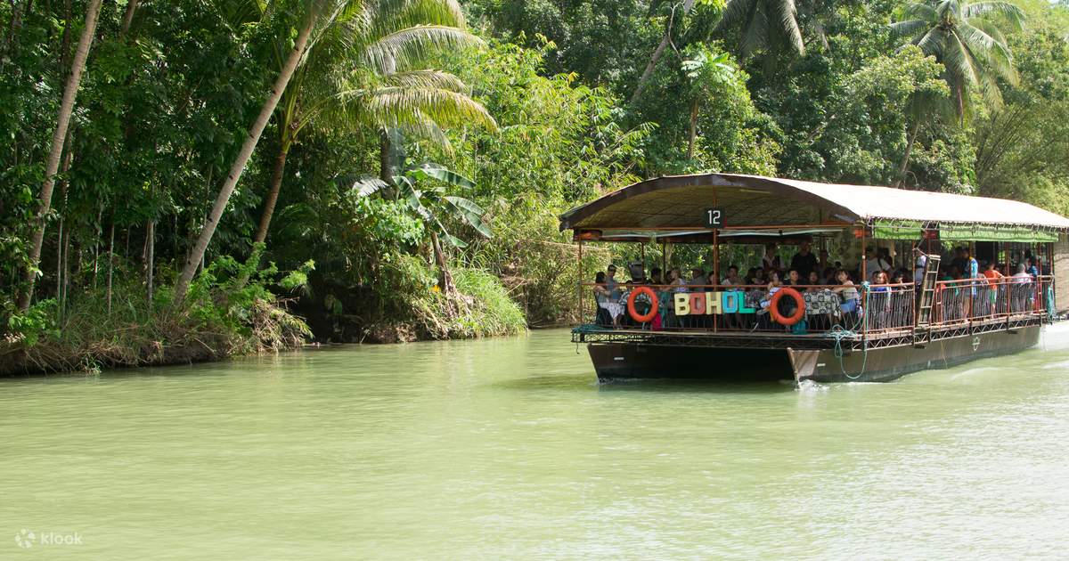 Whale Shark Interaction with Countryside Tour in Bohol - Klook 客路