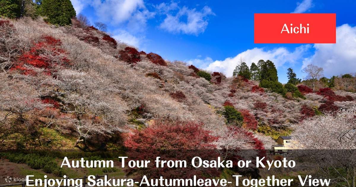 Korankei and Obara Tour with Sakura & Maple Leaves Viewing from Osaka ...