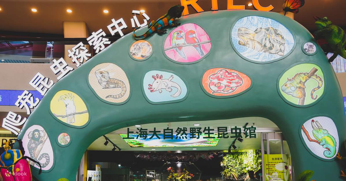 Shanghai Natural Wild Insect Museum - Klook