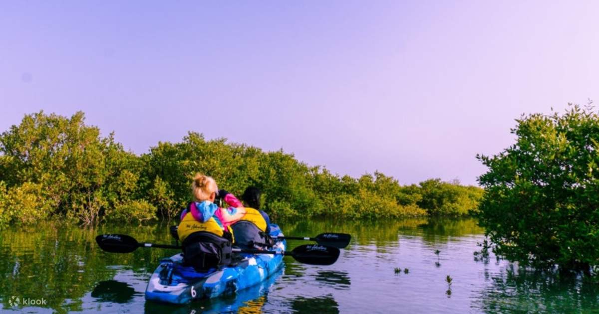 Join In Mangroves Kayaking Or Stand-up Paddling in Ash Shamal - Klook