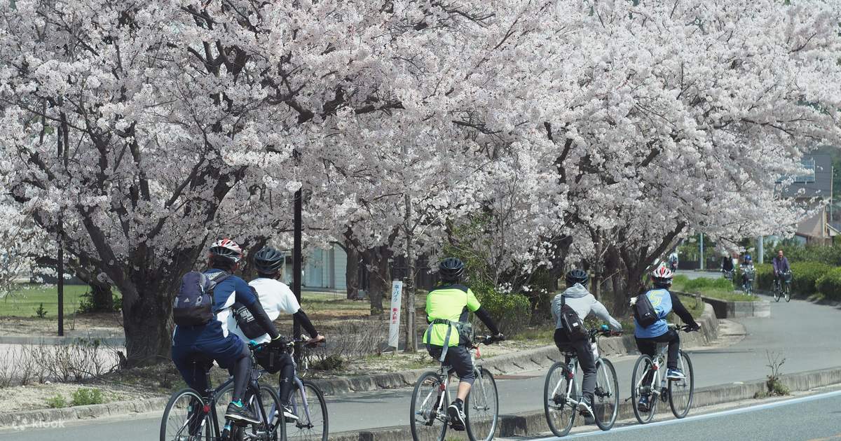 Shimanami Kaido Bicycle Tour Rental & Boat Ride (Onomichi - Imabari ...