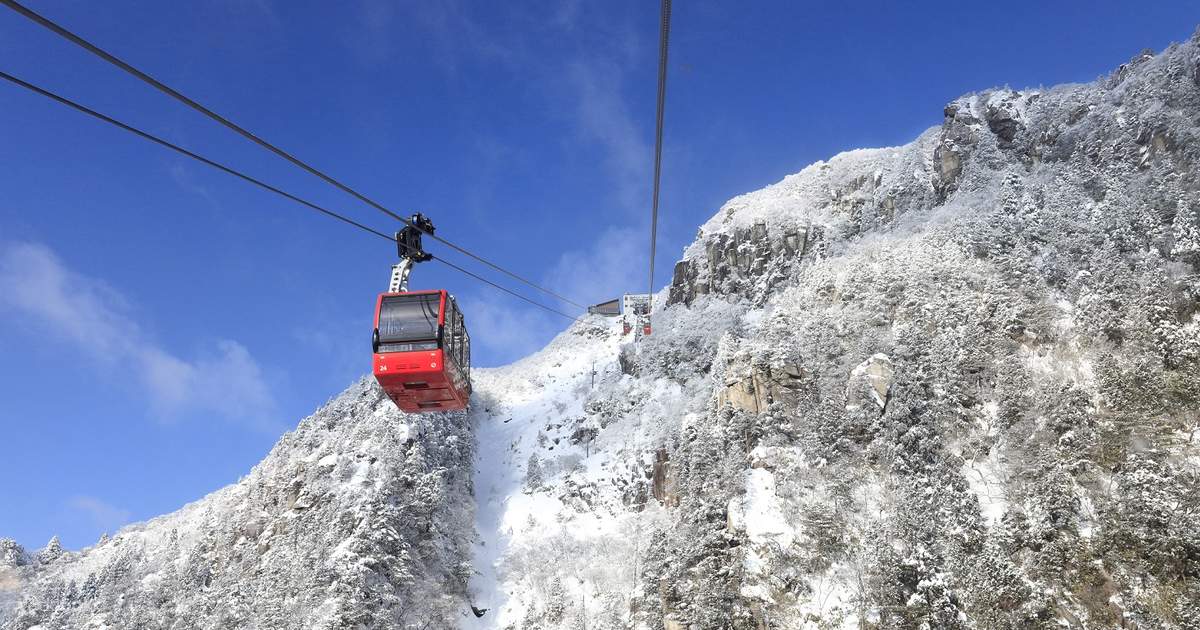 Dazzling Snow View Tour to FrozenTree and Illumination from Osaka - Klook