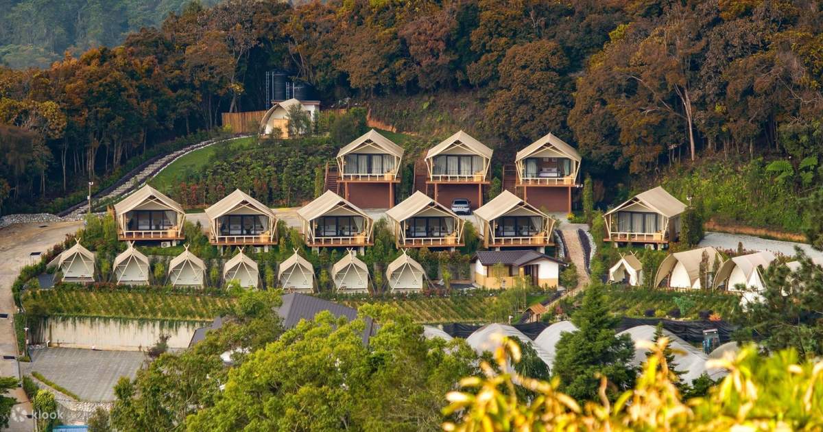Pengalaman Glamping di Zen Glamping Resort Cameron Highlands - Klook ...