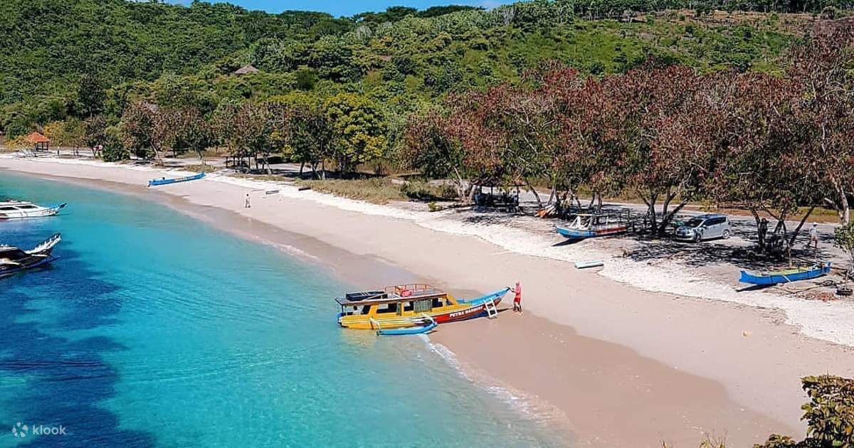Day Tour Pantai Pink, Gili Petelu, dan Pantai Segui dari Lombok - Klook ...