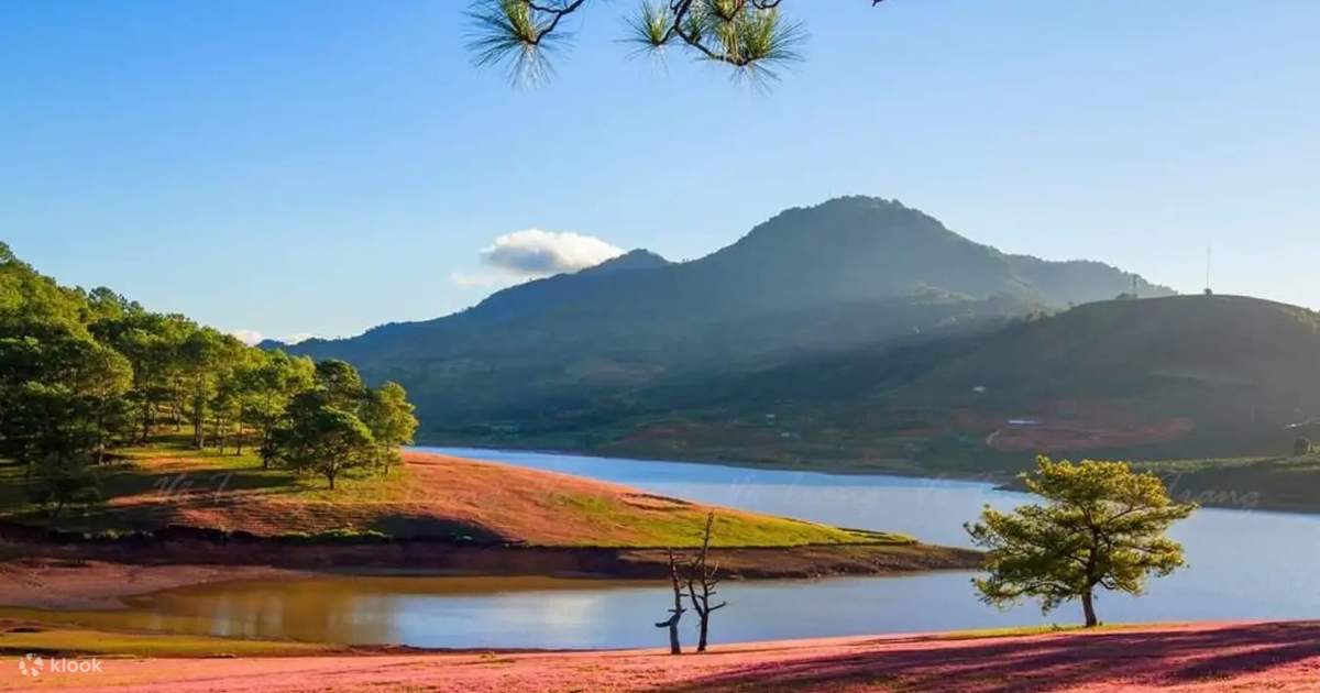 Golden Valley Ticket in Da Lat - Klook