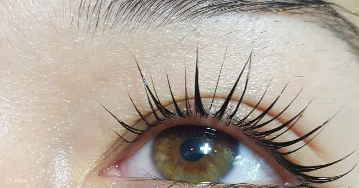 K-Idol Eyelash Lift Perm - Klook New Zealand