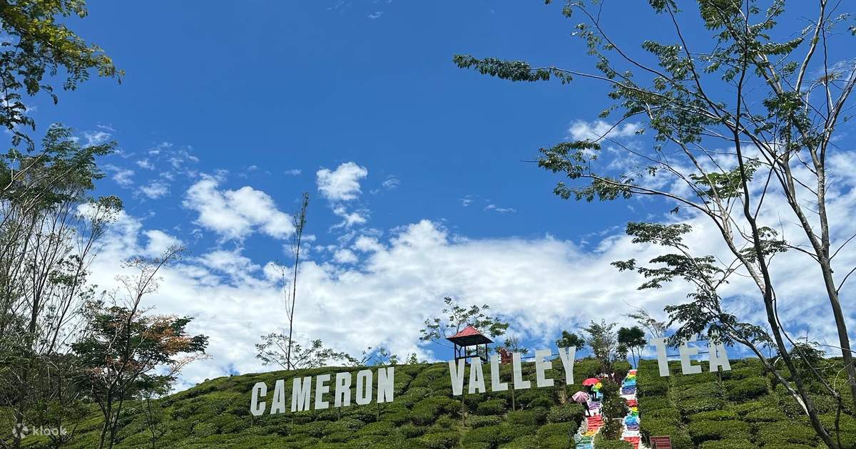 Cameron Highland Private Day Tour From Ipoh - Klook