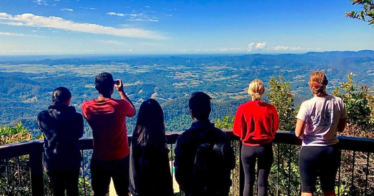 Springbrook National Park Day Tour from Brisbane - Klook United Kingdom