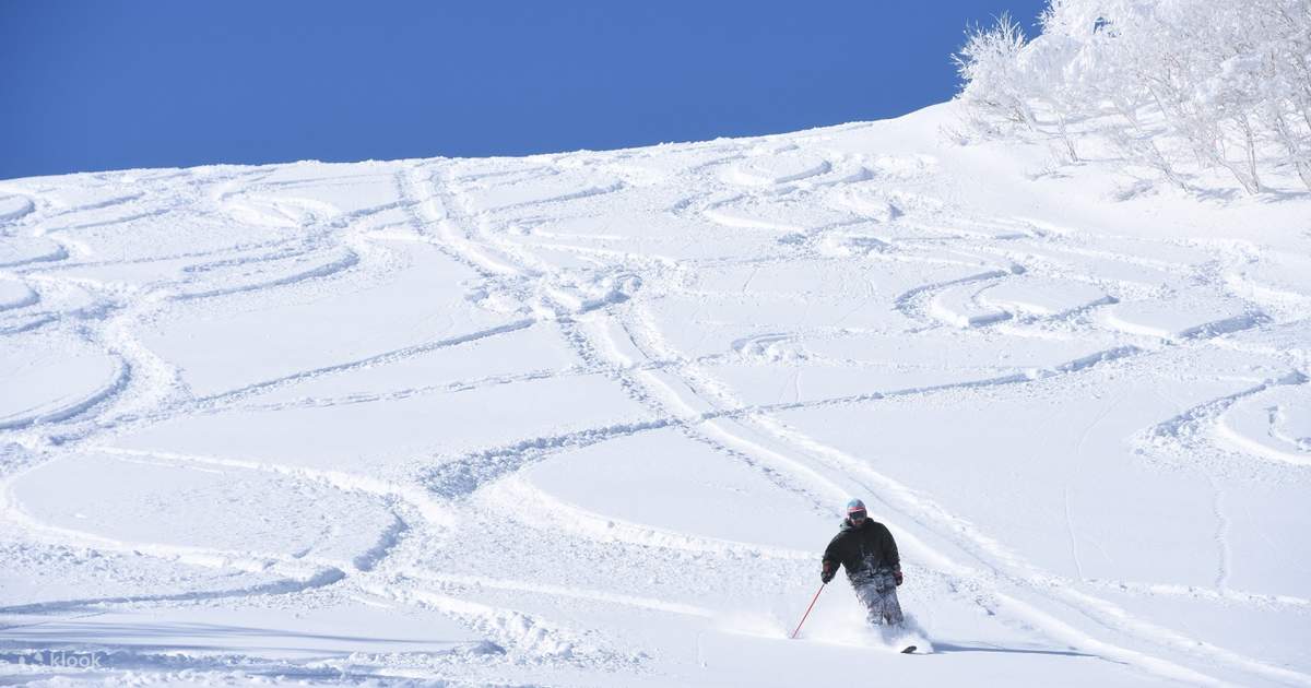 Skiing Experience at the Sapporo Teine Ski Resort with Bus and Lift ...