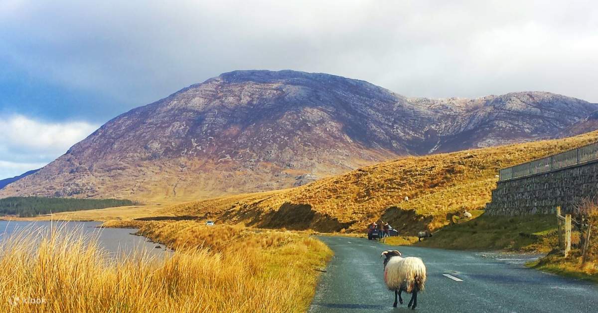 Connemara Day Tour from Dublin - Klook