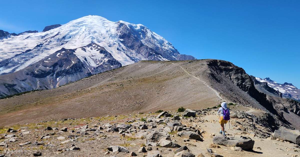 Mount Rainier Day Hike With Transport From Seattle - Klook