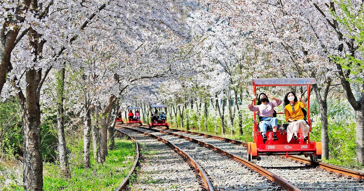 Gapyeong Rail Bike Experience, Seoul - Klook