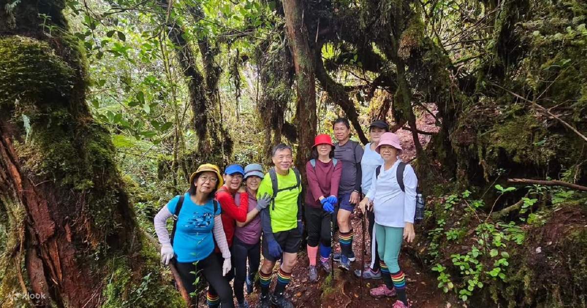 The Enchanted Trail of Coral Hill - Klook Canada