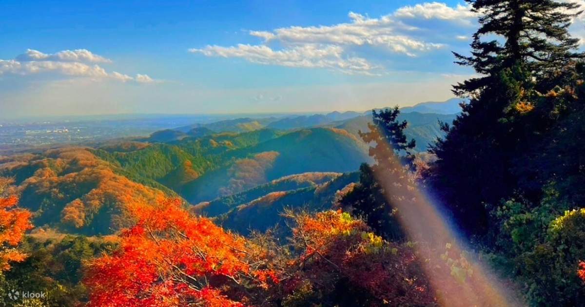 Tokyo City, Mt. Takao One Day Hiking Tour with Autumn Leaves Viewing ...