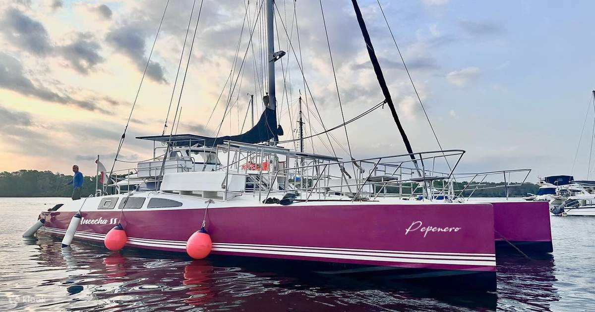 Aneecha Sailing 的全日努沙蓝梦岛游轮 - Klook客路