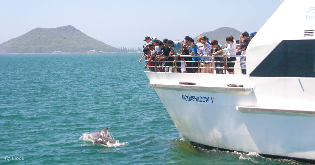 Dolphin Watch Cruise and Port Stephens Join In Day Tour - Klook
