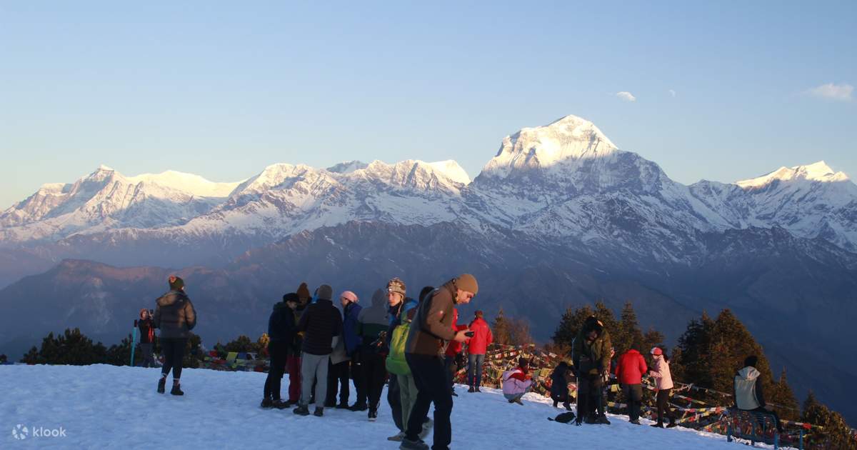 Dari Pokhara: Perjalanan Poon Hill 4 Hari - Klook Indonesia