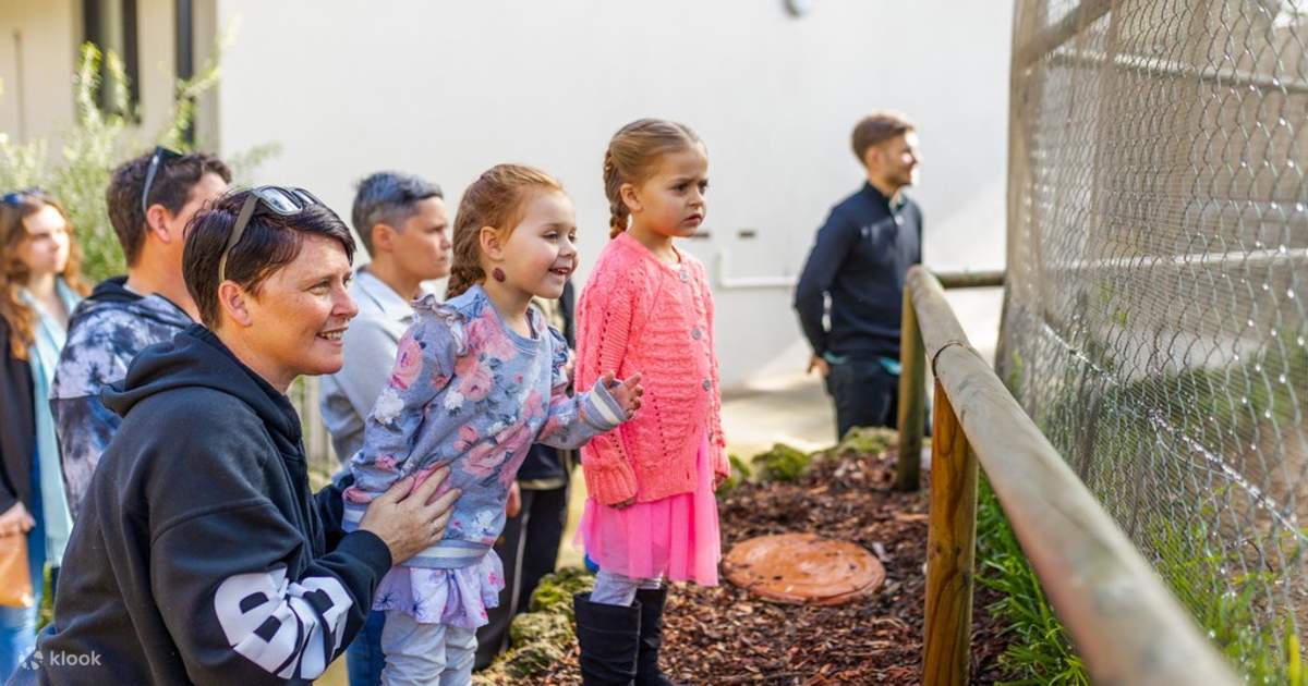 Interaction avec la faune et visite de l'hôpital à Perth - Klook États-Unis