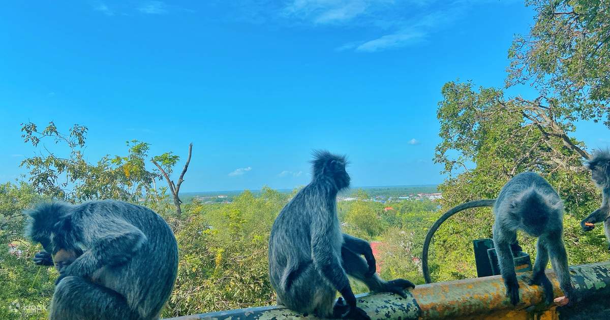 Kuala Selangor Fireflies Tour with Seafood Dinner and Boat Trip - Klook