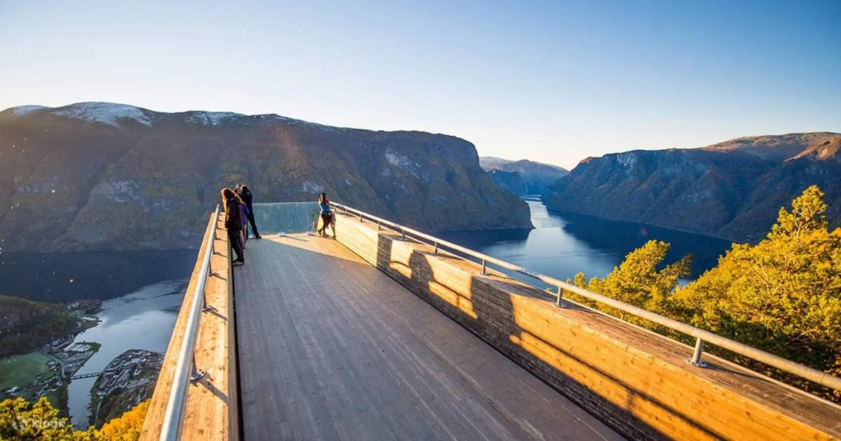 Bergen | Voss + Nærøyfjord Cruise + Aurland + Flåm + Viewpoint + Lunch ...