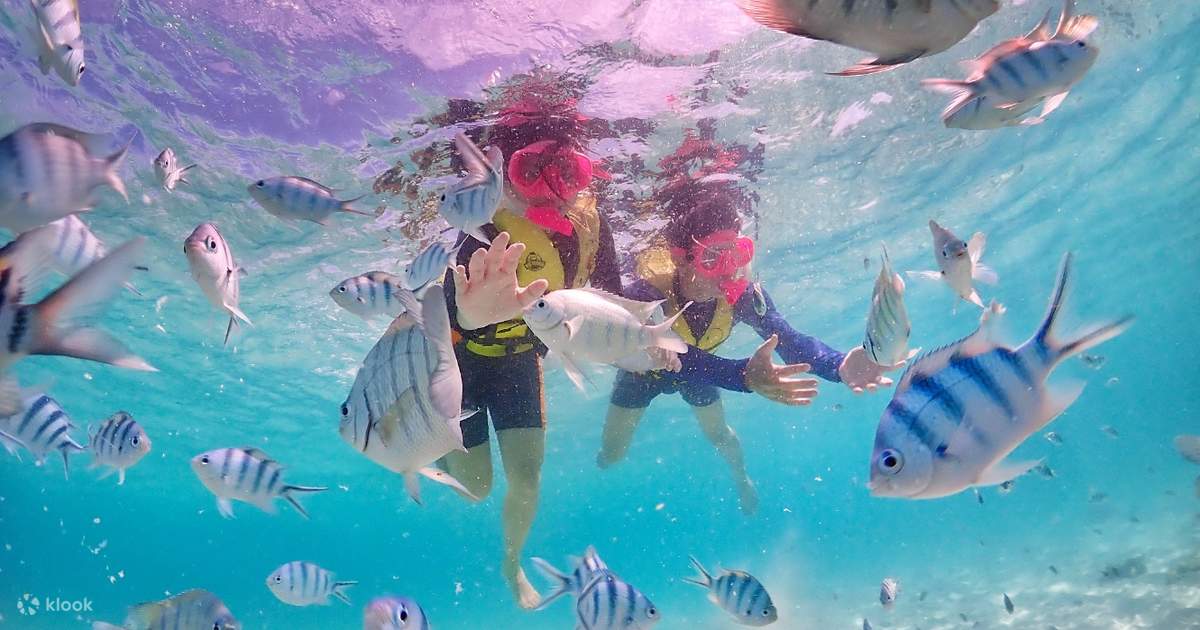 Private Half Day Tour From Pattaya to Nemo Island(Samae San Island ...