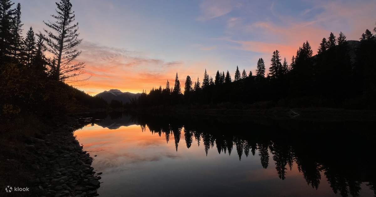 Lake Minnewanka Wildlife & Sunset Adventure in Banff, Canada - Klook