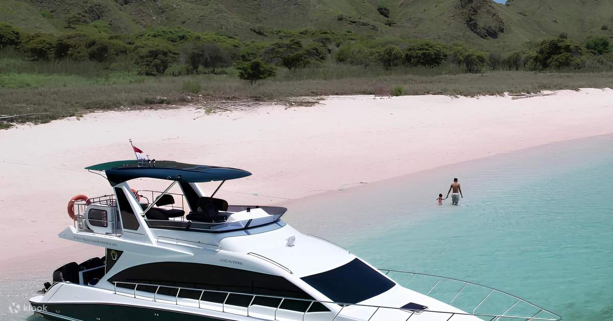 Labuan Bajo Full Day Tour by Speedboat - Klook