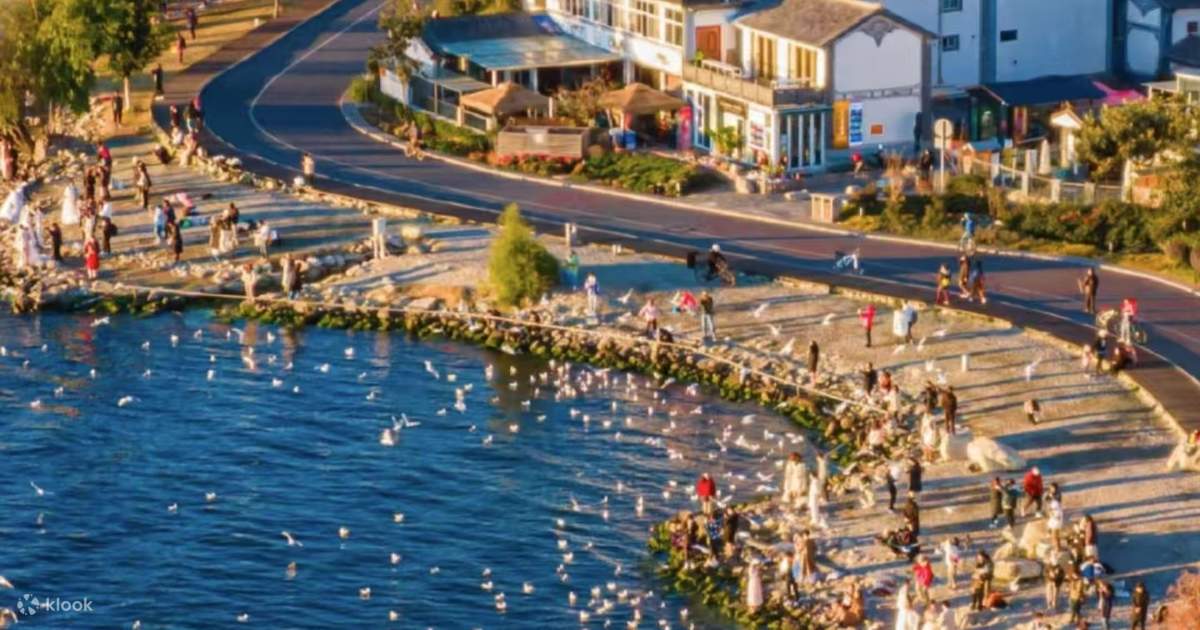 Tur satu hari di sekitar Danau Erhai di Dali, Yunnan - Klook Indonesia