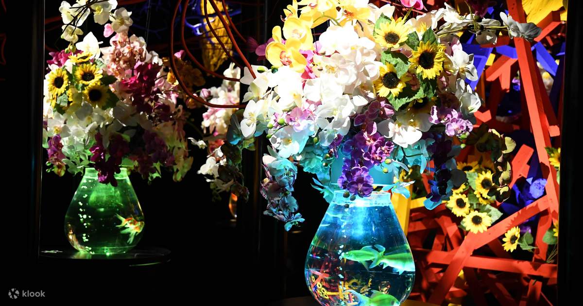 Art Aquarium Museum GINZA Admission Ticket - Klook United States