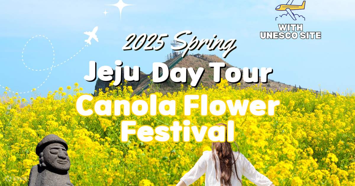 2025 Jeju's Canola Flower Tour With UNESCO Spot, Hotel Pick Up - Klook ...