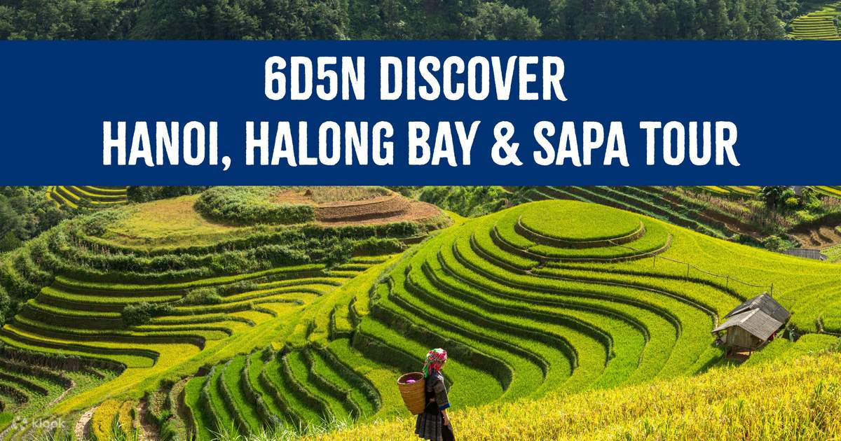 6D5N Discover Hanoi, Halong Bay & Sapa Tour from Singapore - Klook ...