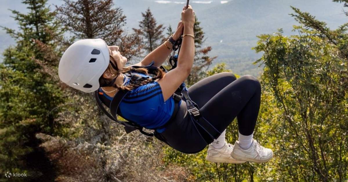 Zipline & Trail Walk Abenteuer mit Baumwipfelblick in Mont Tremblant ...