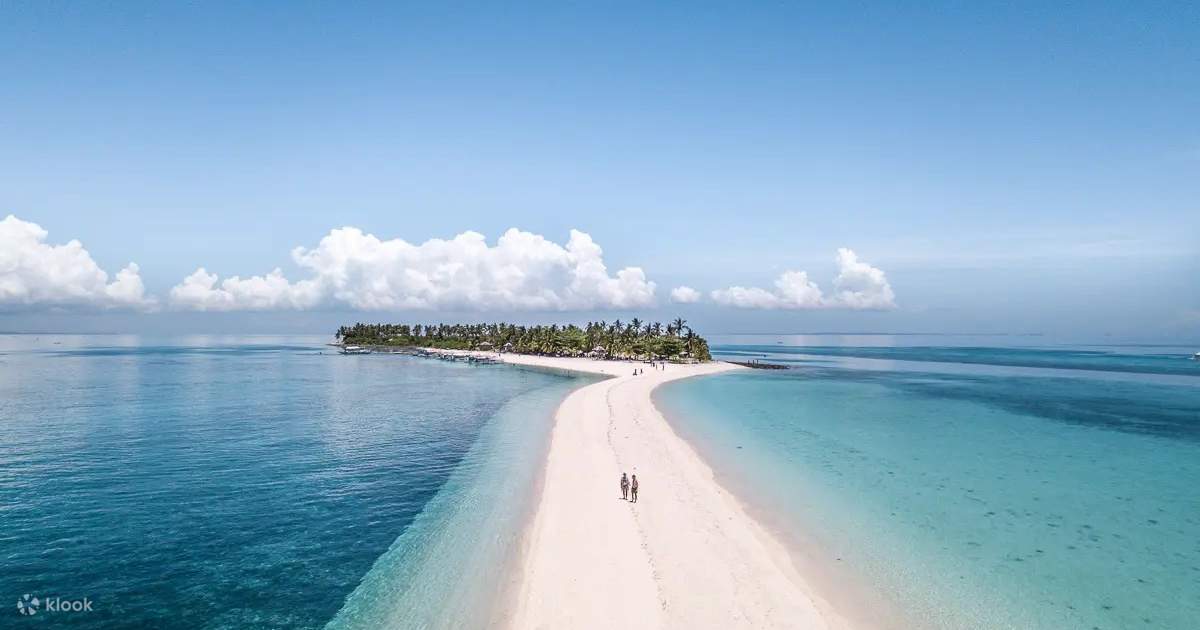 6 Day Malapascua Island Dive Trip From Singapore - Klook