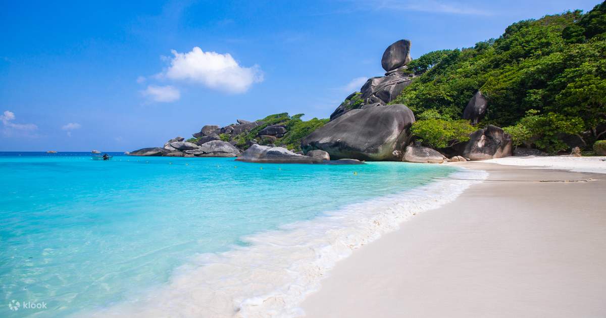 Isole Similan: Esperienza di snorkeling e gita di un giorno intero in ...