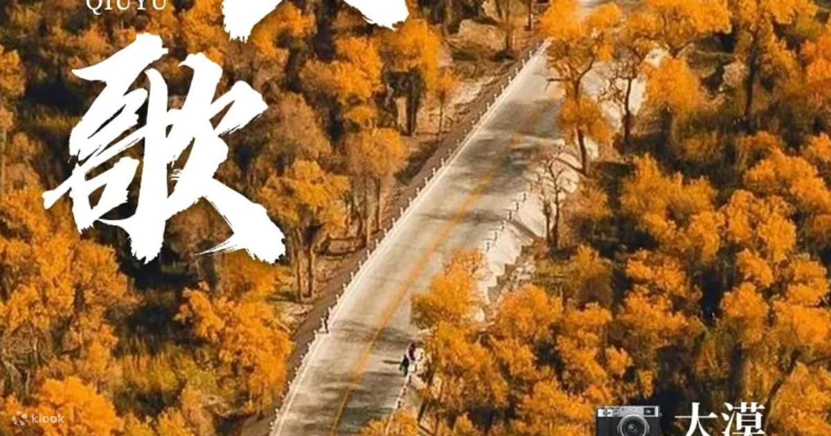 Lawatan Peribadi Northwest Desert Shangge 7 Hari (Temui Ejina + Hutan ...